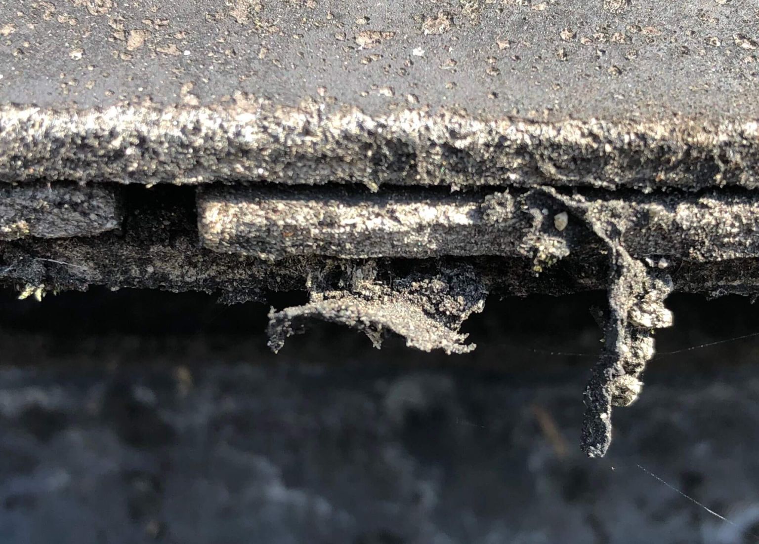 Asbestos Environmental Pollution: Understanding the Risks